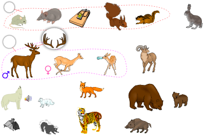 Mammals - English Vocabulary